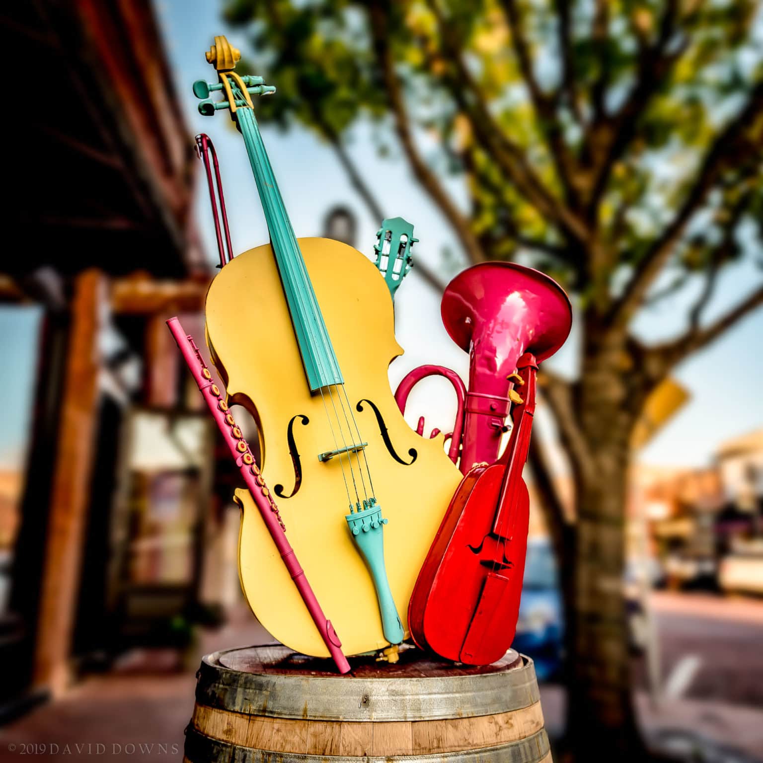 Photography - Musicians - The Art of Harmony | David Downs Photography